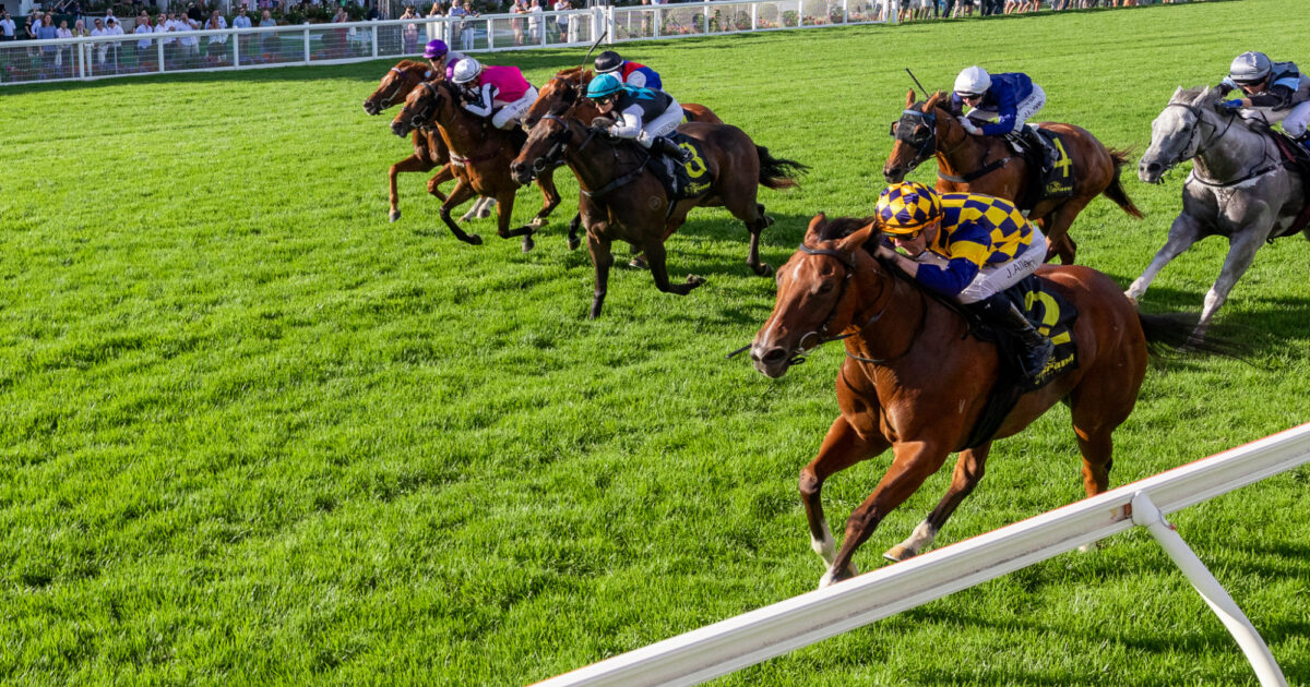 Integrity • Racing SA