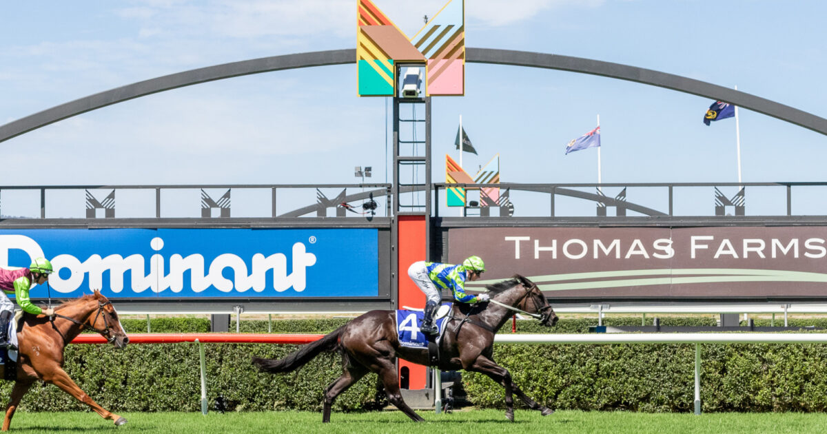 News & Media • Racing SA