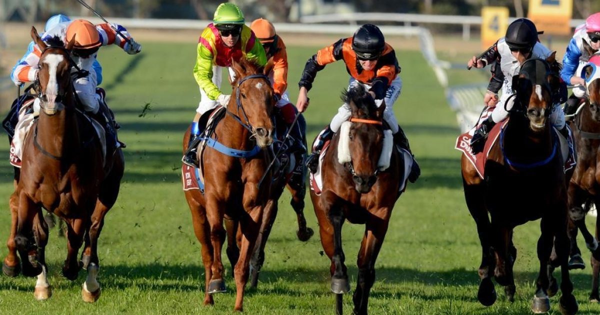 The Montgomerie Forrest Series returns this Sunday • Racing SA