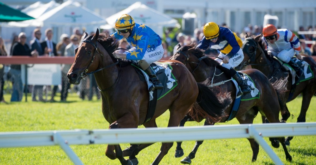 The Listed Hill Smith and Durbridge Stakes Preview • Racing SA