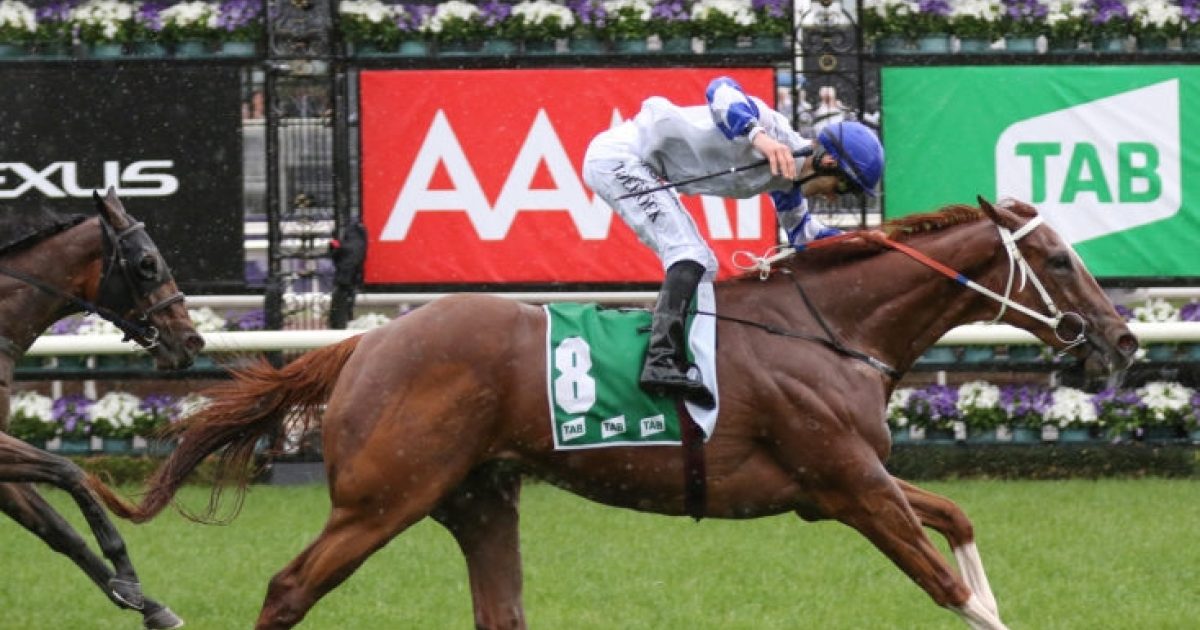 Top 7 South Australian Moments from the Spring Carnival • Racing SA