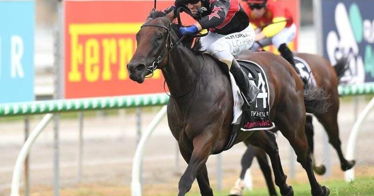 TAB Classic an irresistible puzzle • Racing SA