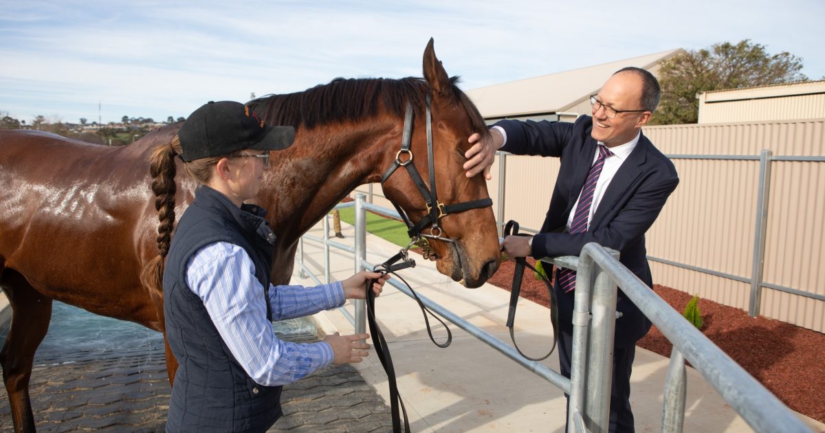 New Gawler pool tipped to attract trainers • Racing SA