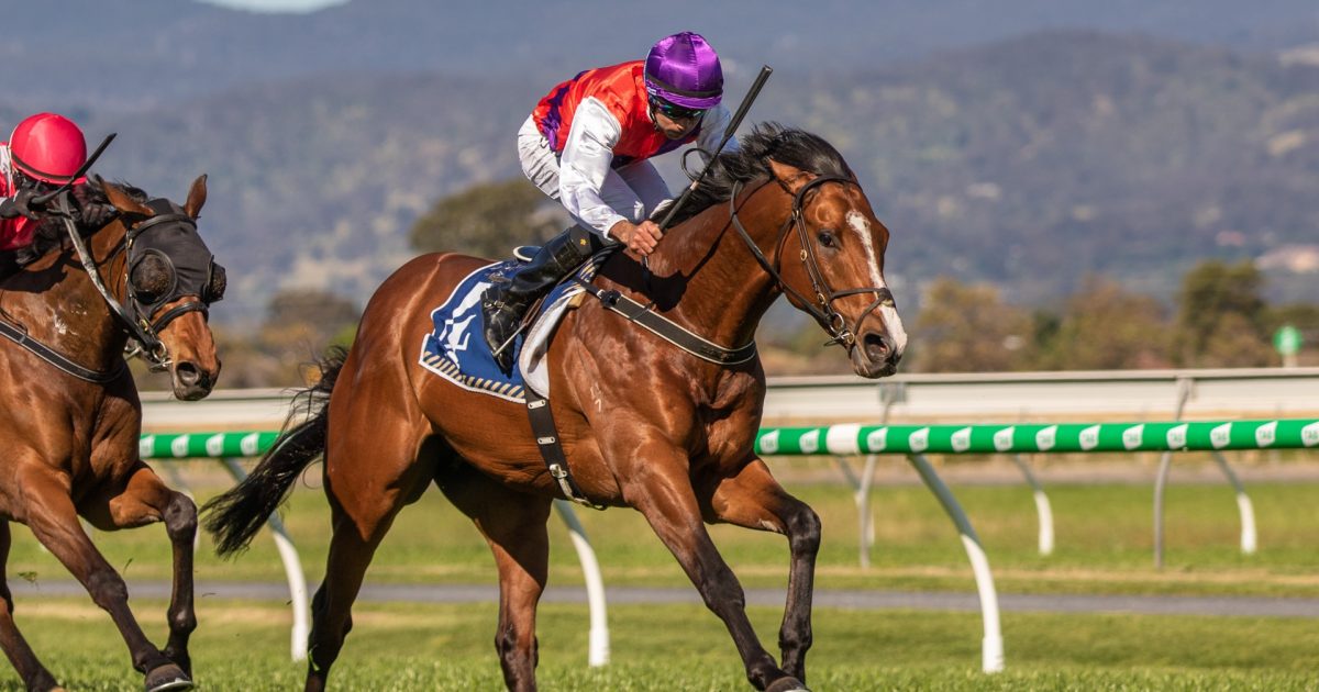 Future star unearthed on exciting weekend of racing for SA • Racing SA