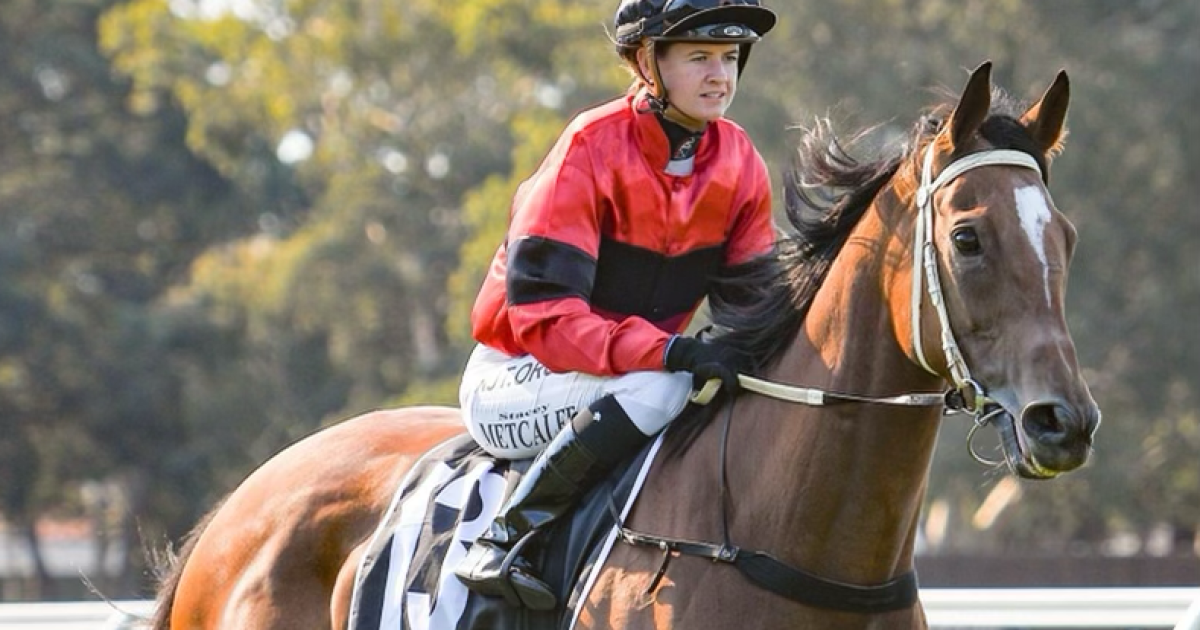 From supermarket, to superstar stable, to SA riding ranks • Racing SA