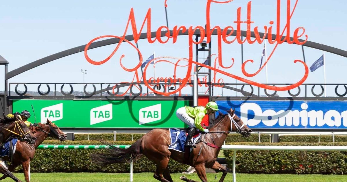 Stokes stable celebrates, while Serious Spender lands 100k final ...