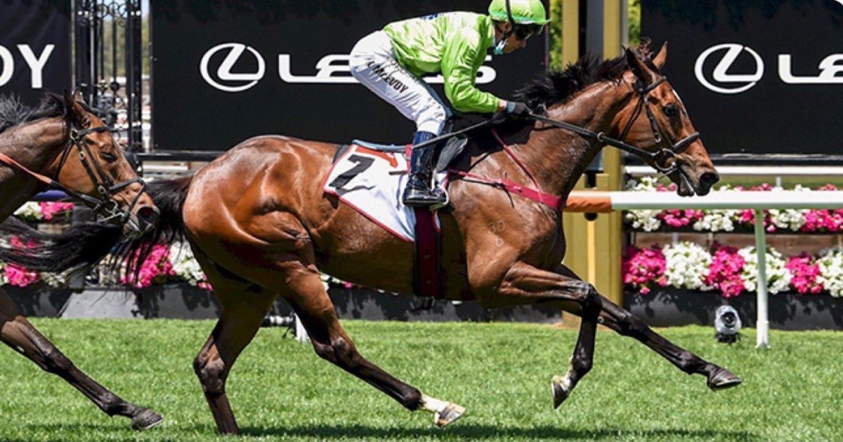 Lord Reims favourite a slow burn • Racing SA