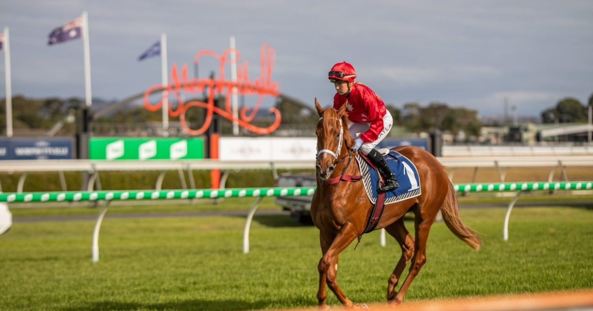 Is Celebrity really special? • Racing SA