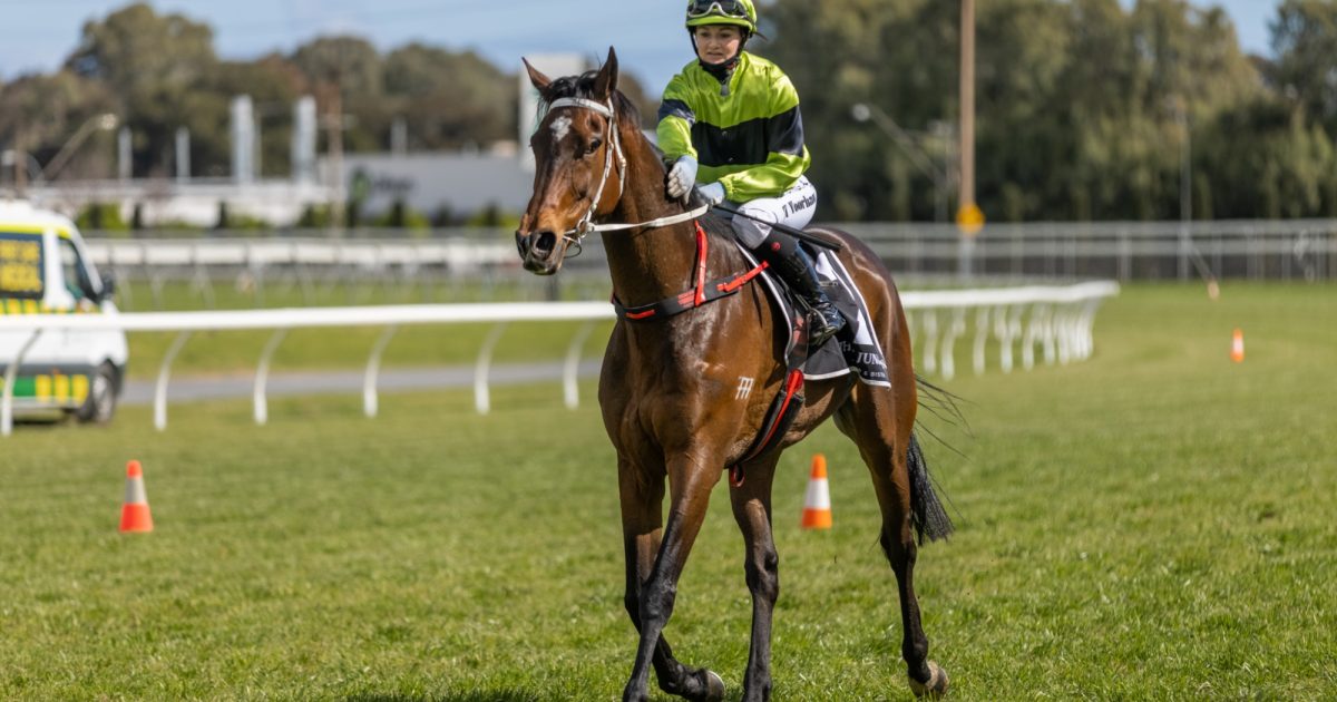 Melbourne Cup dream alive for Hasta La War • Racing SA