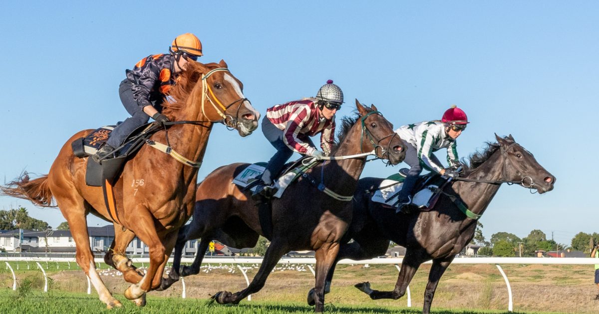 Jump Out Journal: Murray Bridge & Morphettville • Racing SA