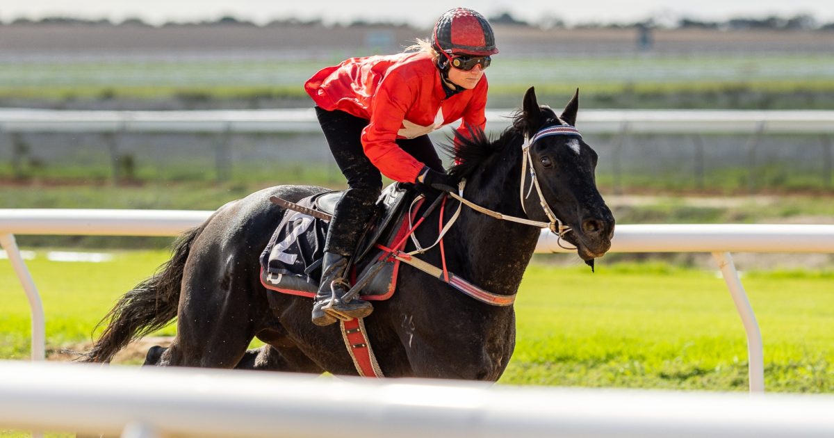 Three fresh faces welcomed into Apprentice Academy • Racing SA