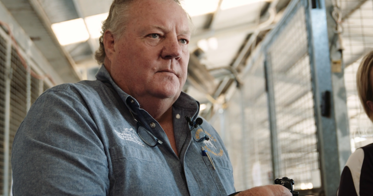 Marmion honoured with Matrice Award • Racing SA