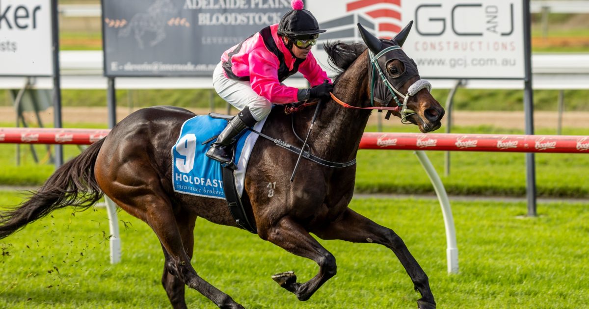 Dual Adelaide Cup winner Jimmy Smith begins new chapter • Racing SA