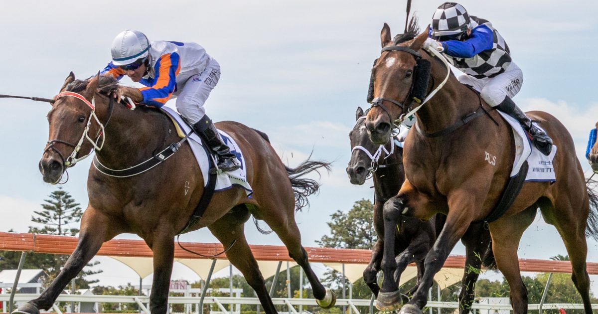 Racing SA's Track Report and Speed Maps • Racing SA