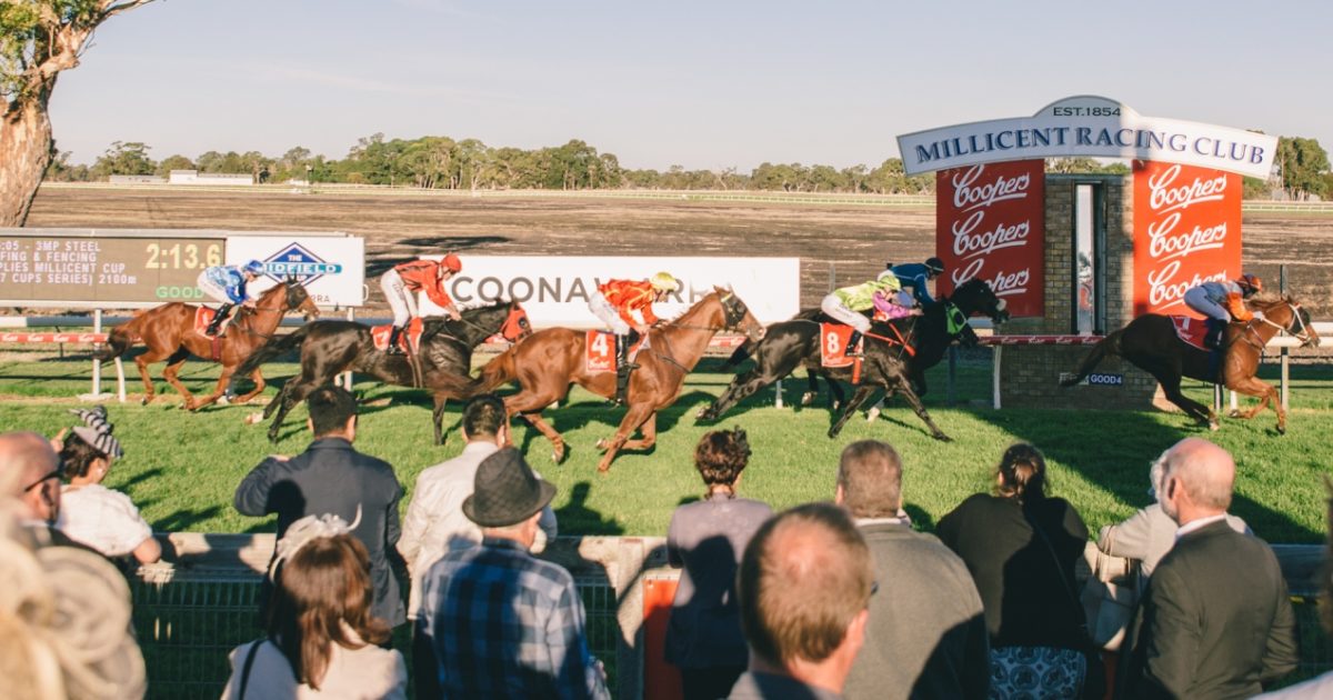 Millicent Cup Preview • Racing SA
