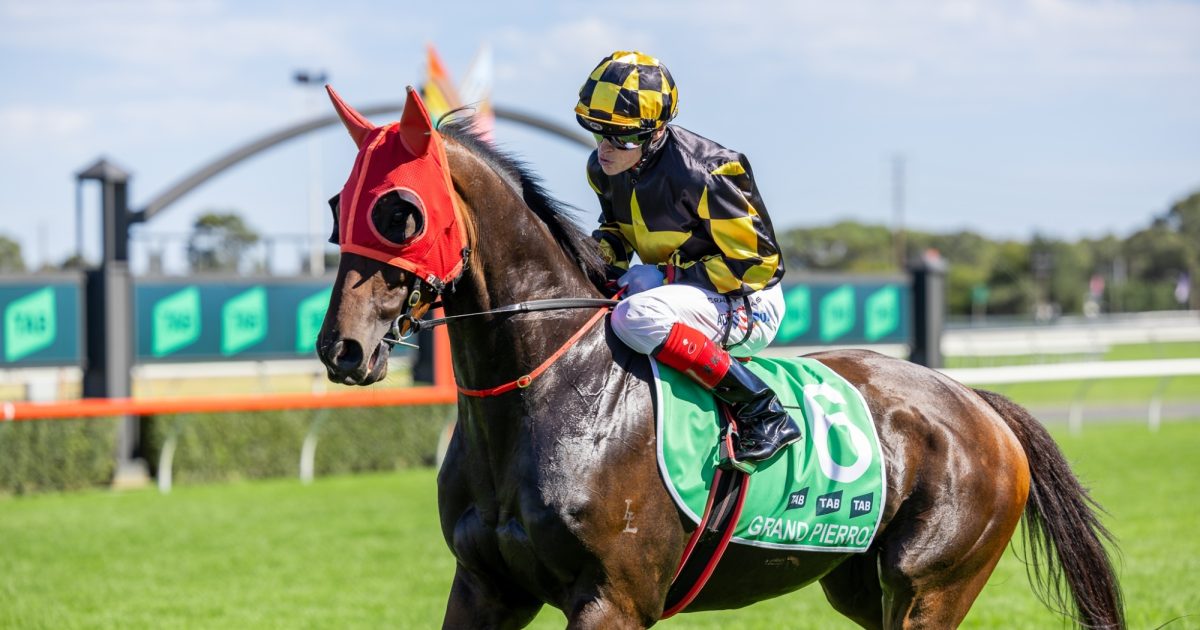 A look at the Lord Reims nominations • Racing SA