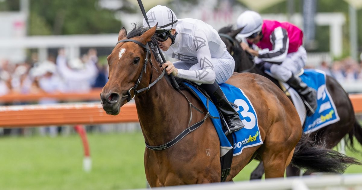Weekend Wrap: Nunes Too Classy, Hickmott's Good Spirit • Racing SA