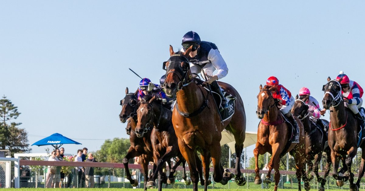 Morphettville Track Report and Speed Maps • Racing SA