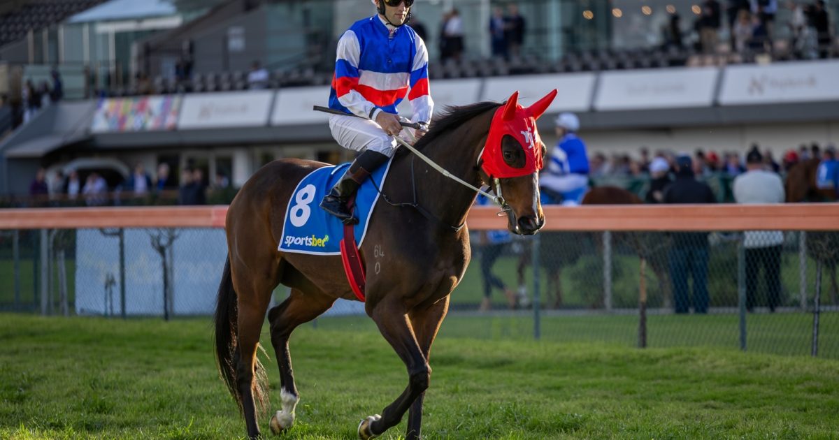 Richard Jolly Racing Star Seeks Melbourne Group 3 • Racing SA