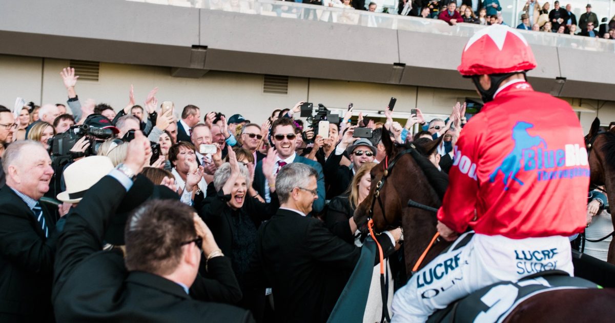 SA Prizemoney Tops $40 Million Following Latest Boost • Racing SA