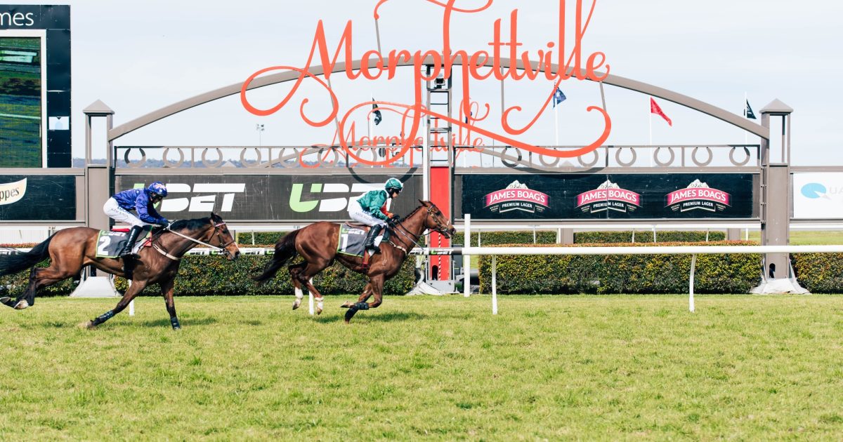 Australia v Ireland Challenge Series • Racing SA