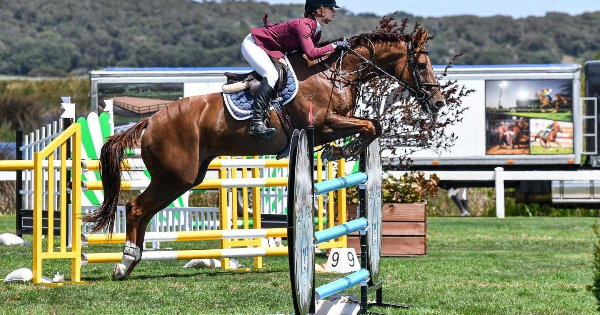 SA Qualifier for Magic Millions Queensland Off-The-Track Cup Final ...