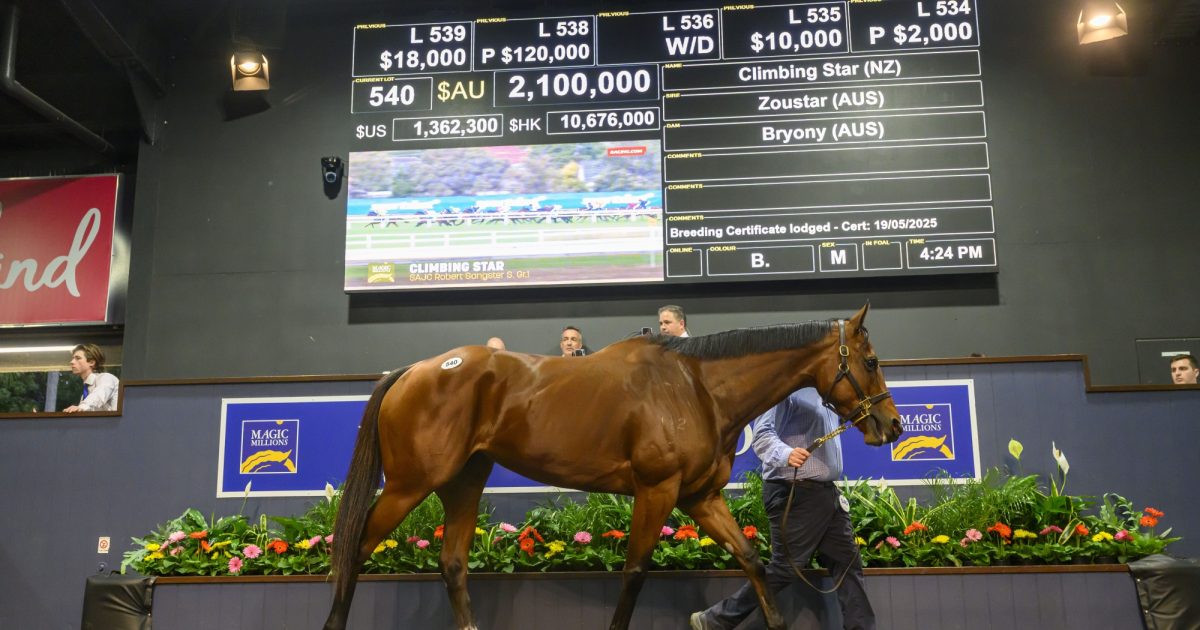 SA mares & G1 winners headline sales • Racing SA