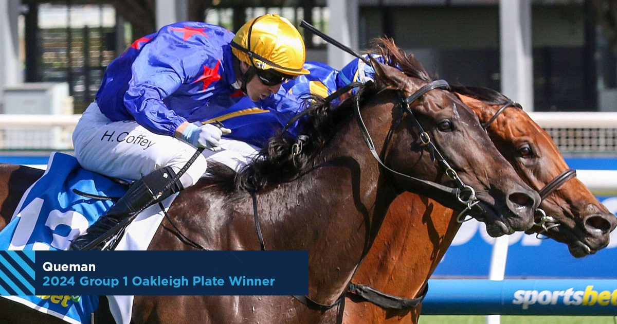 From Finals Day to Group Ones • Racing SA