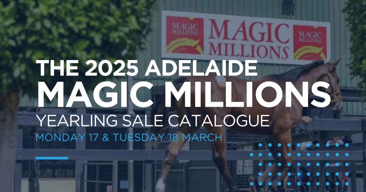 2025 Adelaide Magic Millions Yearling Catalogue • Racing SA