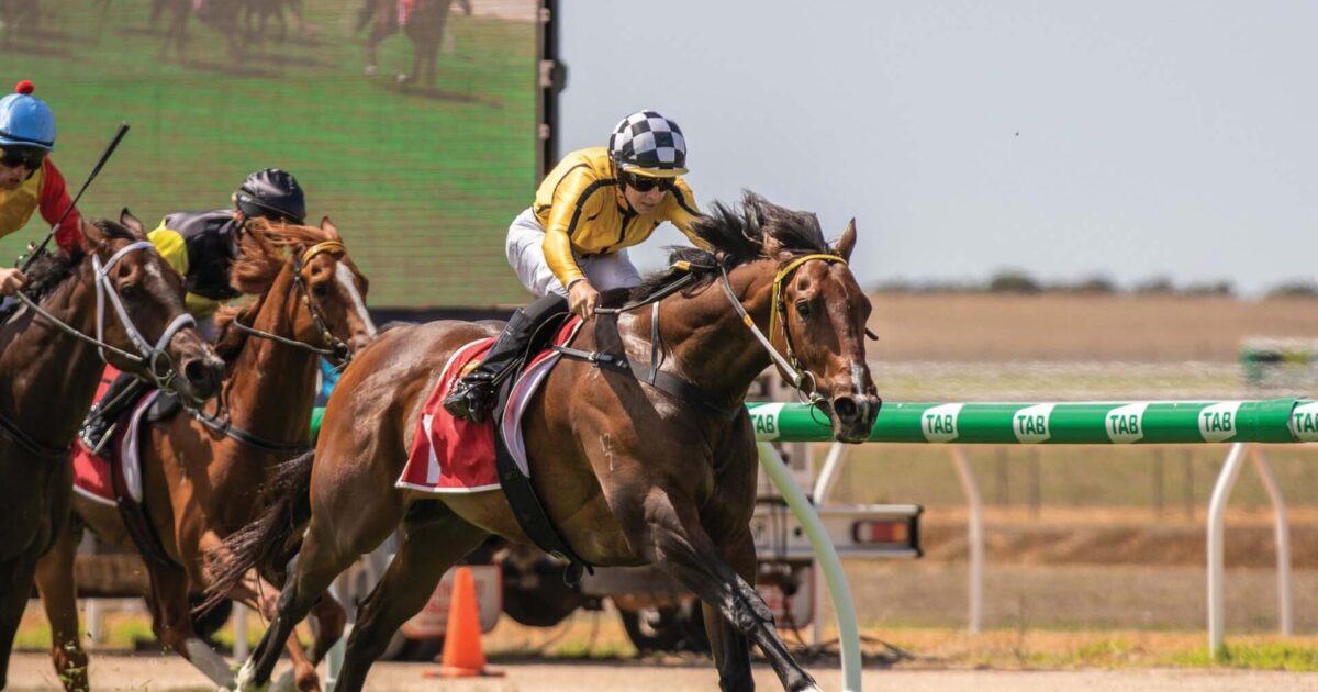 Stewards News • Racing SA