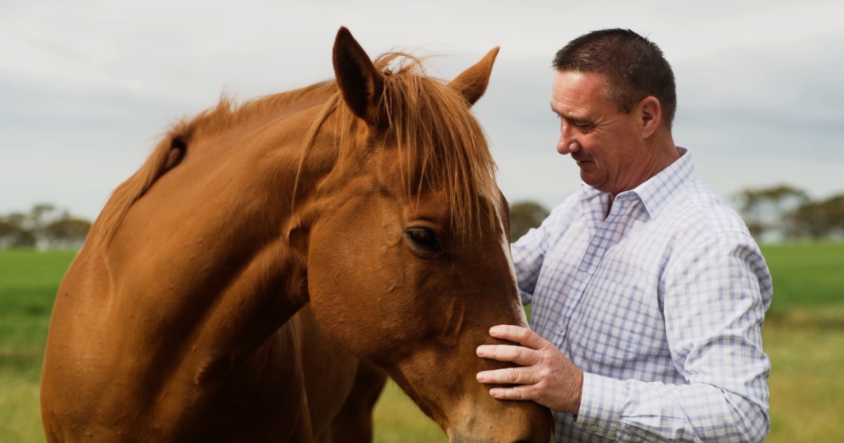 Racing SA introduces drought relief package for retired thoroughbreds ...